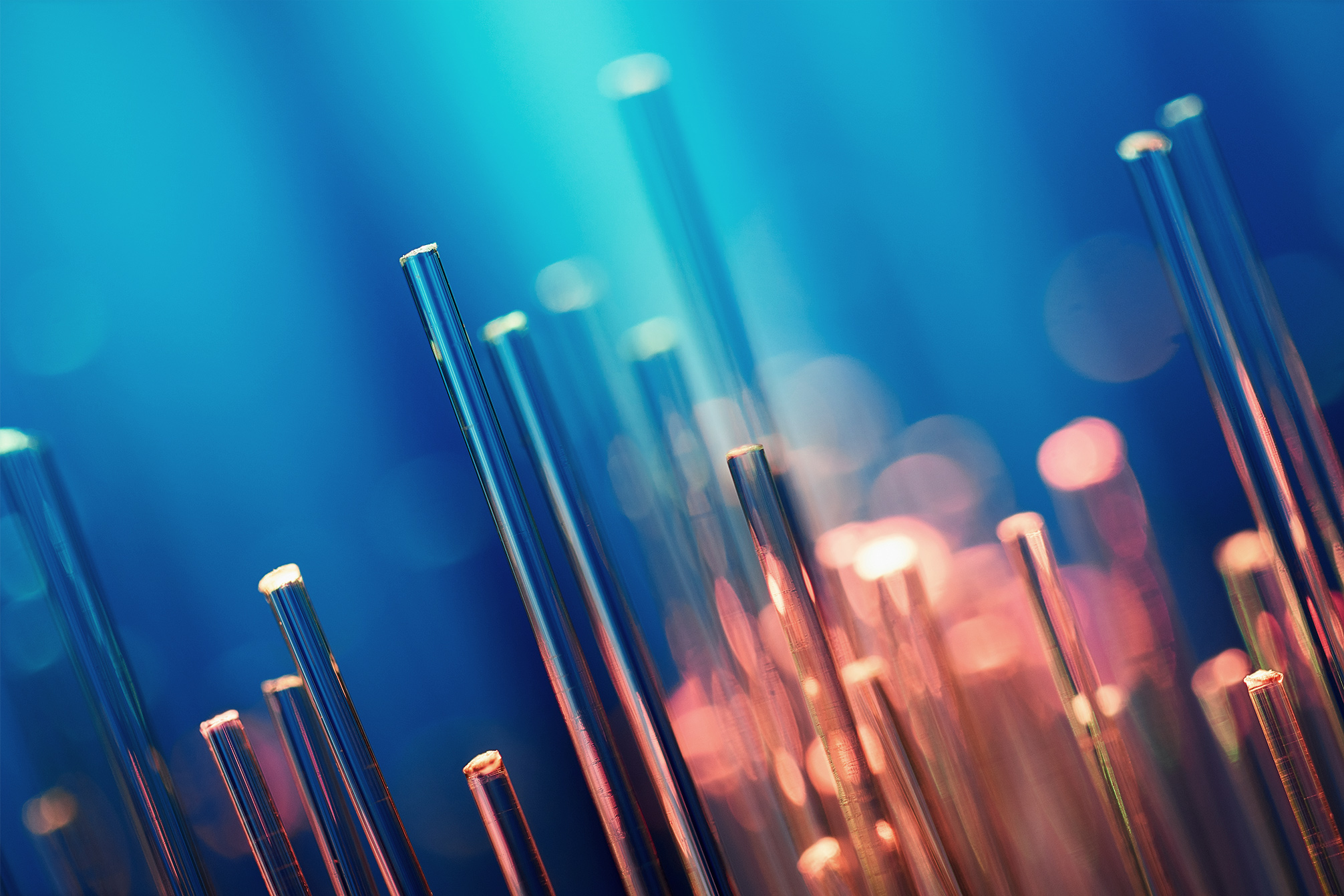 fibreVISION Münsterland – Das Gigabitbüro des Bundes ist dabei ...